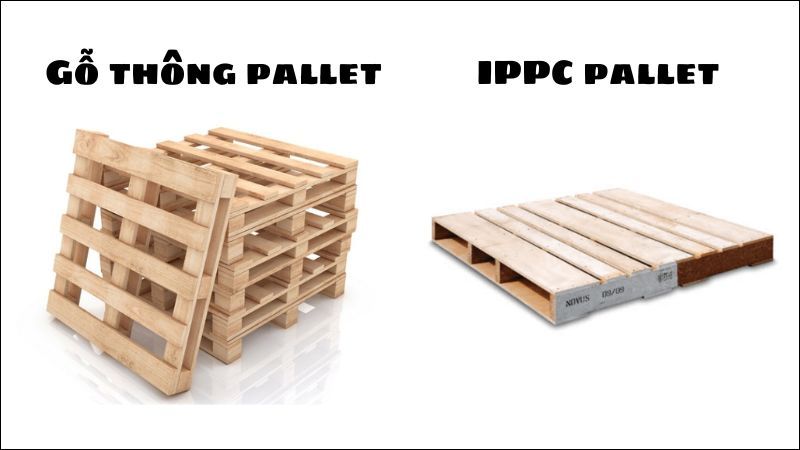 Pallet là gì? Tổng quan về các loại pallet phổ biến và ứng dụng